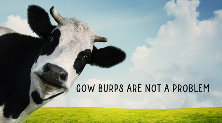 Bovaer and Cow Burps | Truth Behind the Chemical Fix – Nourish Food Club