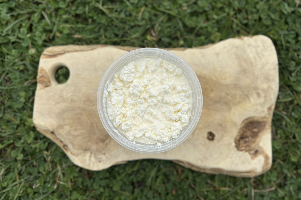 Raw Cottage Cheese – Nourish Food Club