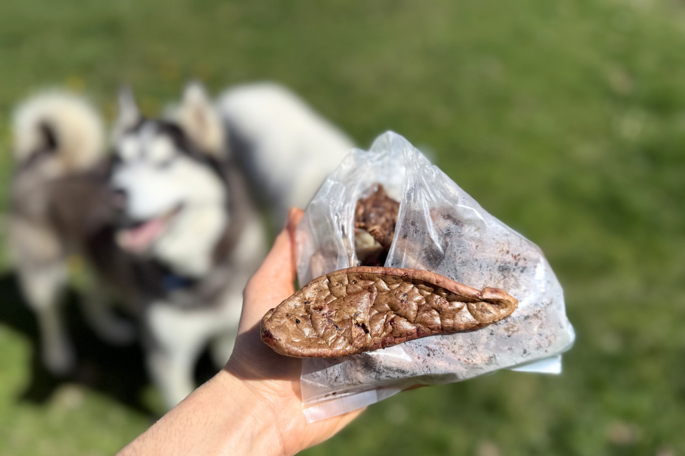 Beef Lung Treats – Nourish Food Club