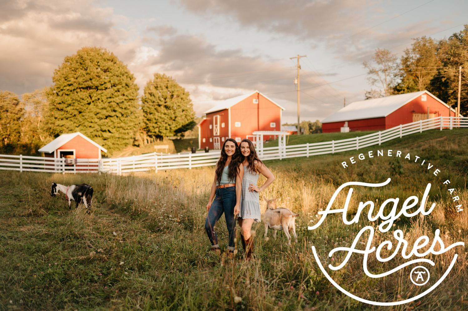 Angel Acres Eggs: Official Source & Delivery | Nourish Food Club