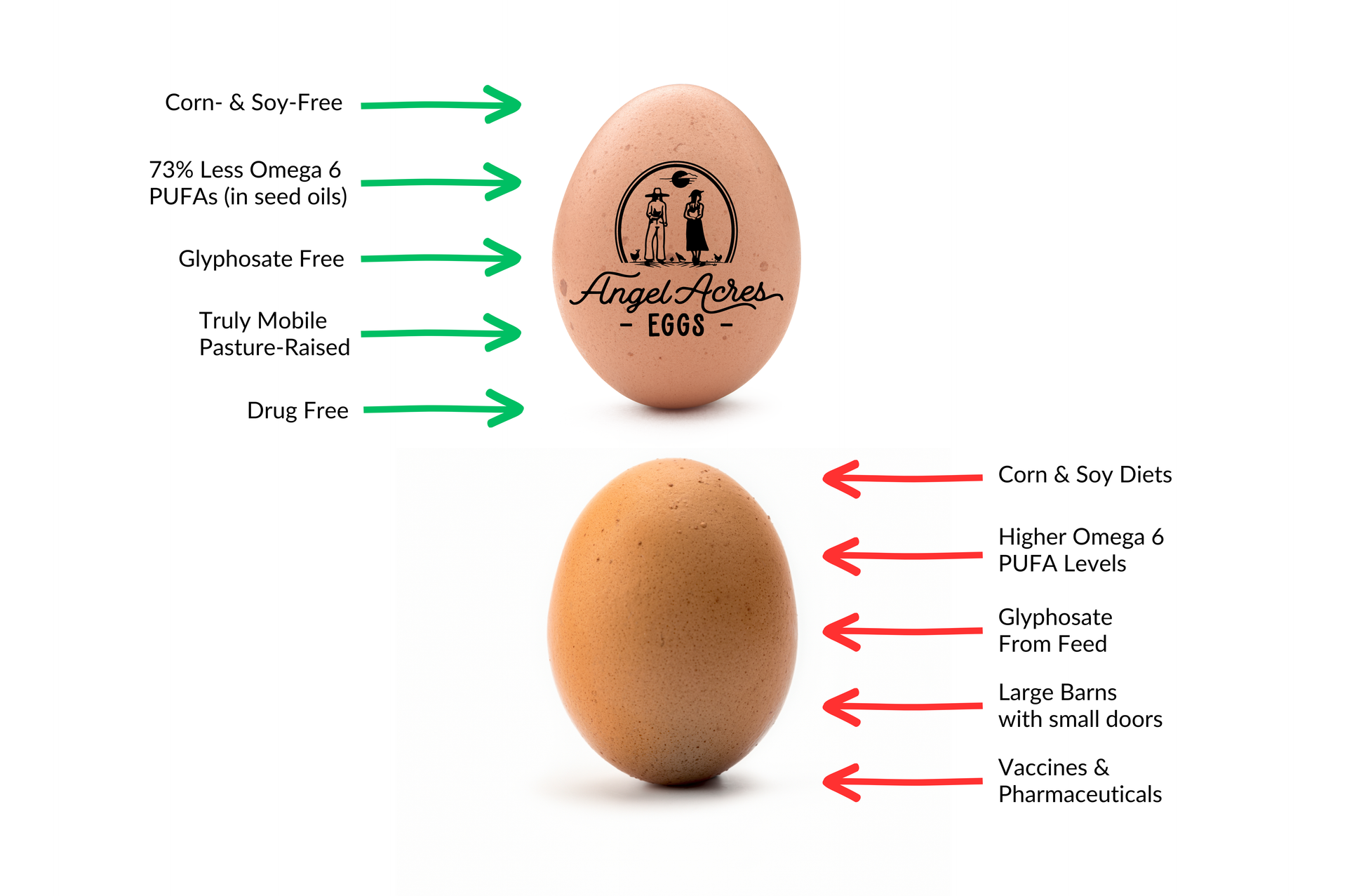 Why & Join Angel Acres Egg Waitlist – Nourish Food Club