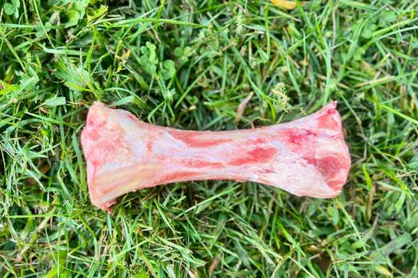 Raw Marrow Bones for Pets – Nourish Food Club